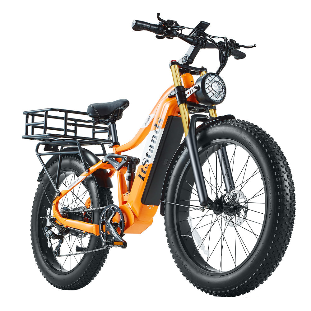 RX30 AWD – ITSTANDS Ebike
